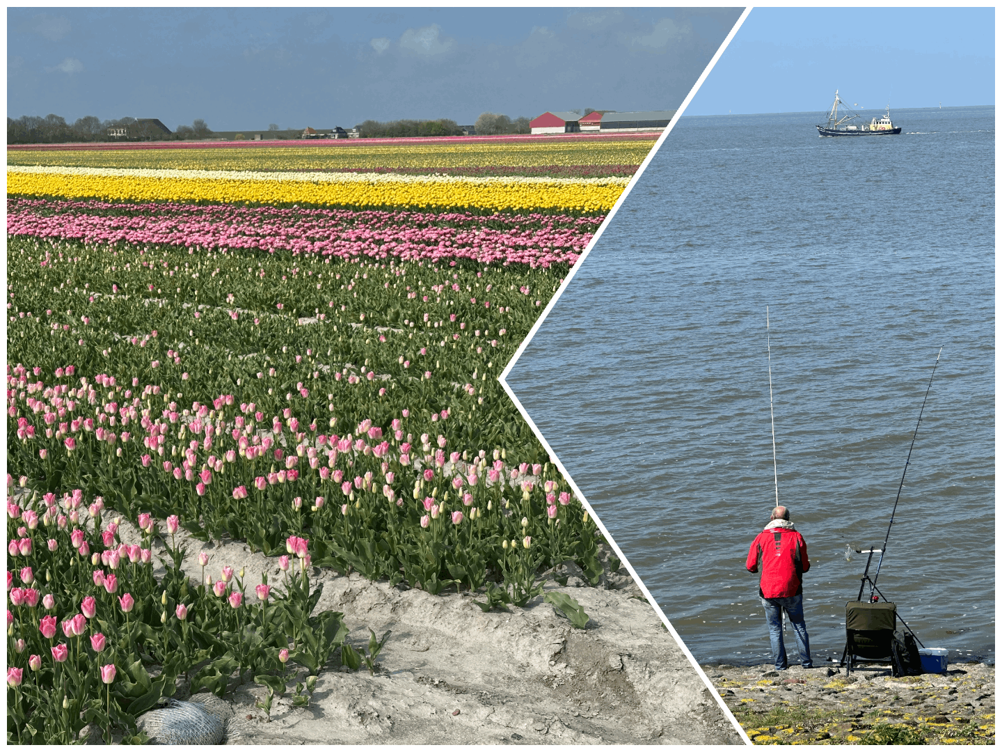 Op deze plek in Nederland kun je de meeste wind oogsten - Elke dag ...